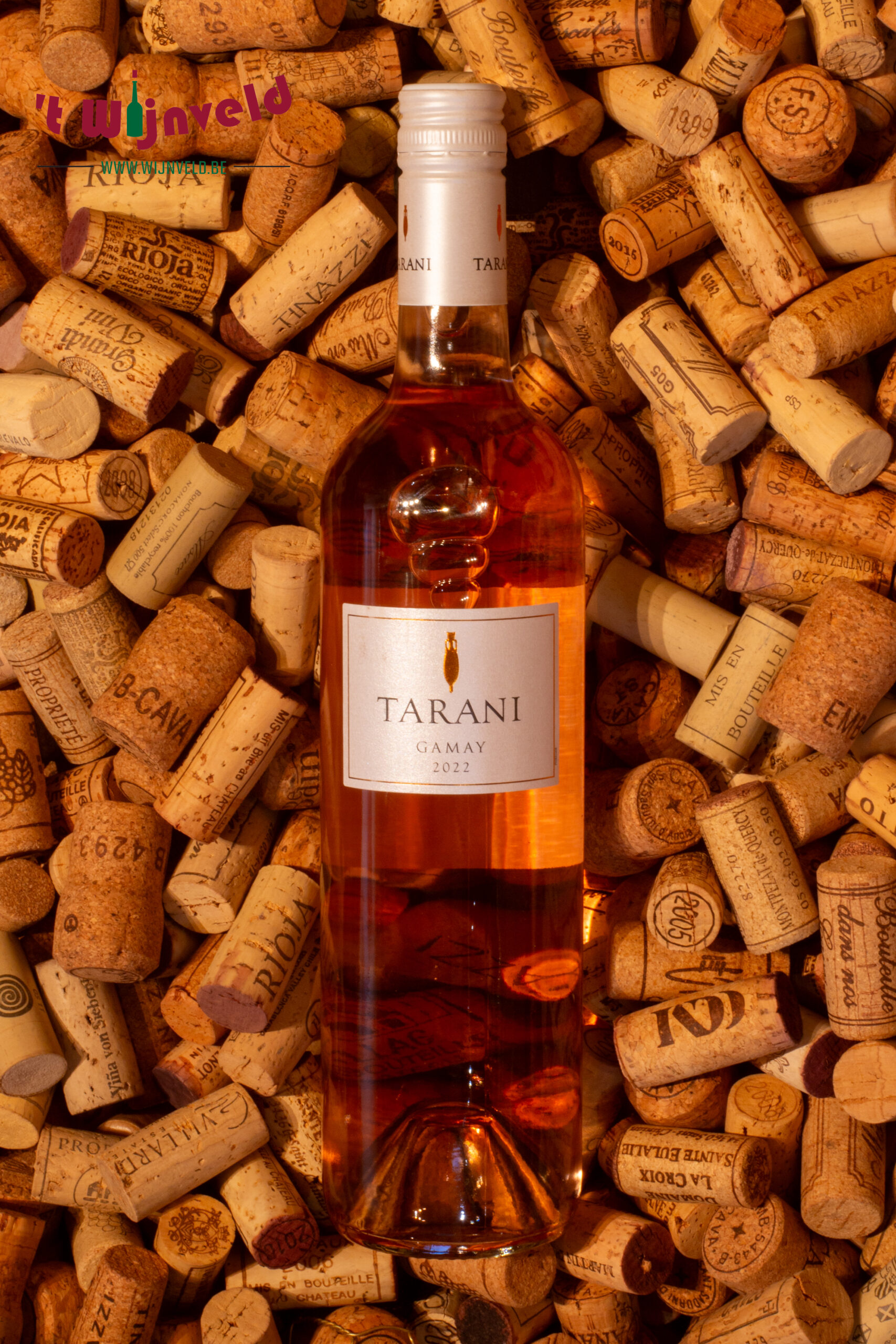 Tarani Rose - t' Wijnveld